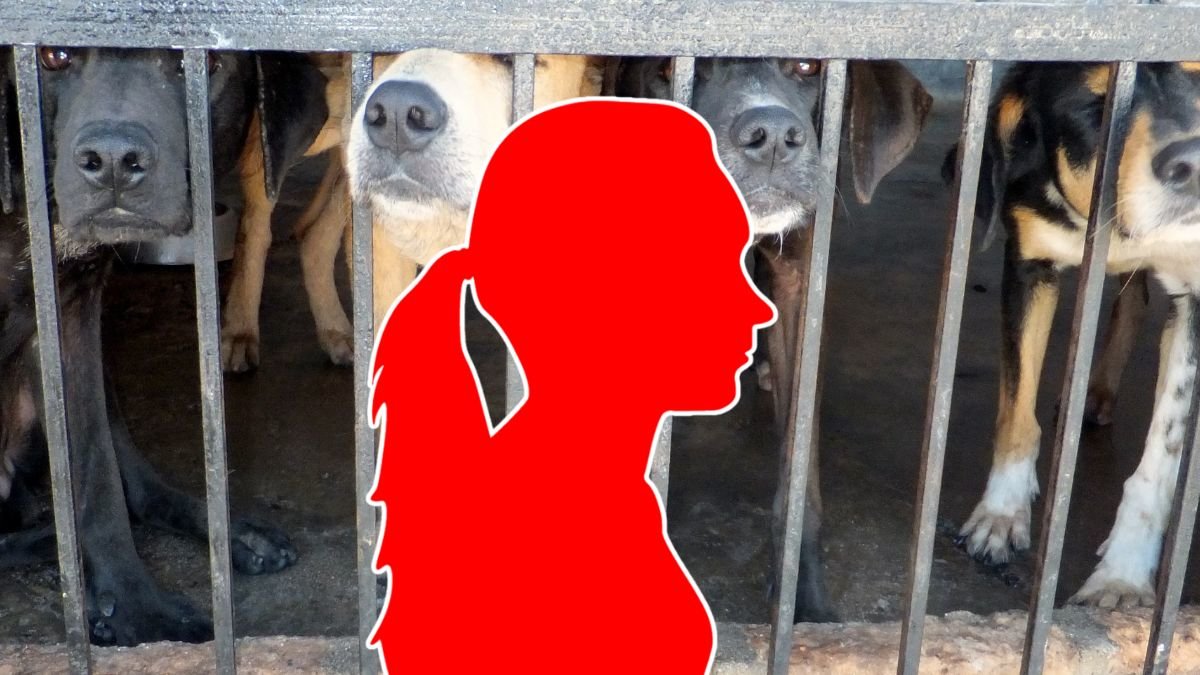 Kvinna höll 13 hundar instängda i burar med avföring