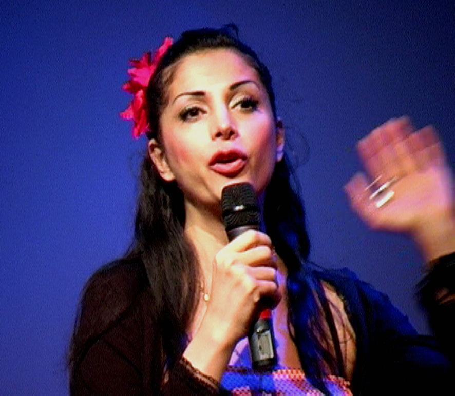 Zinat Pirzadeh om Norrland, att alltid svära och om fackroller