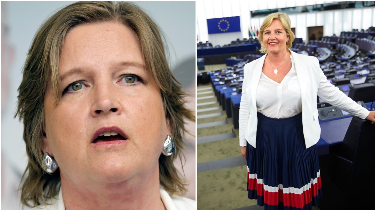 Allt om Karin Karlsbro: Liberalerna, familj och EU-valet 2024