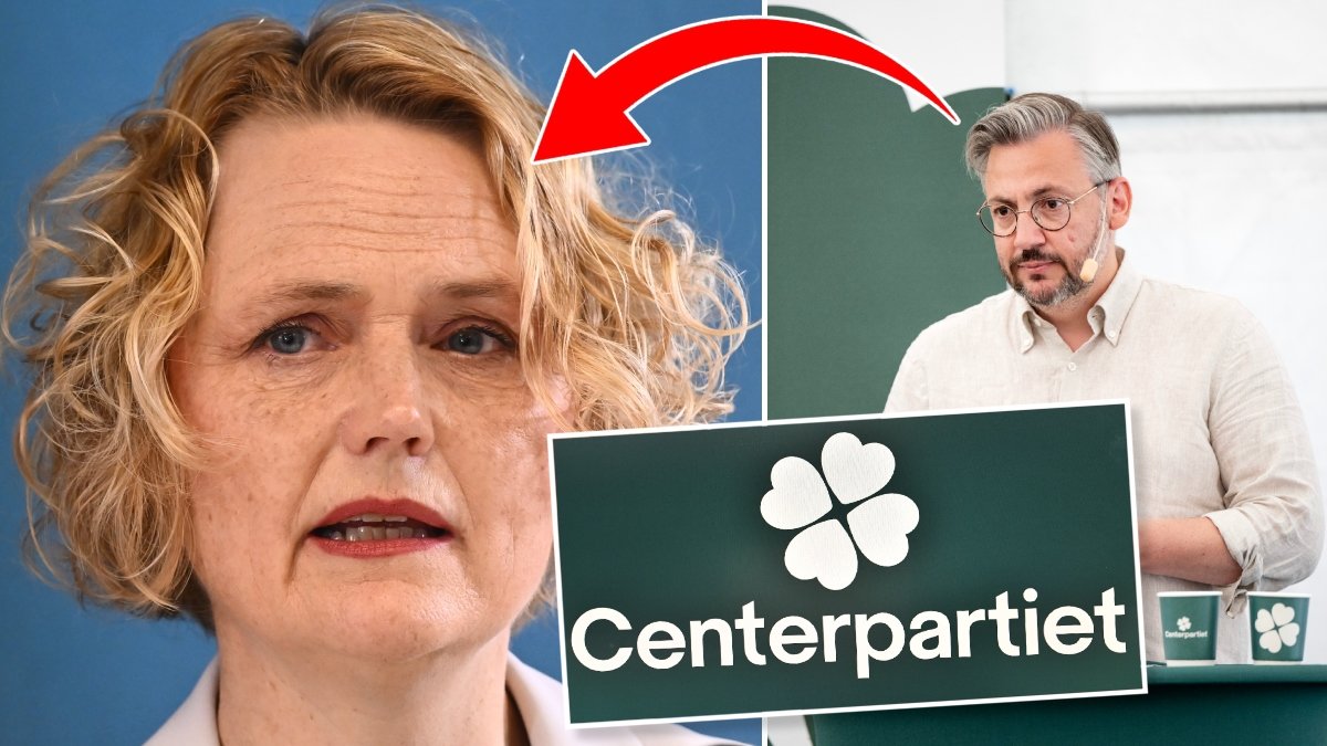 Allt om Anna-Karin Hatt: Centerpartiet, vd, familj och lön