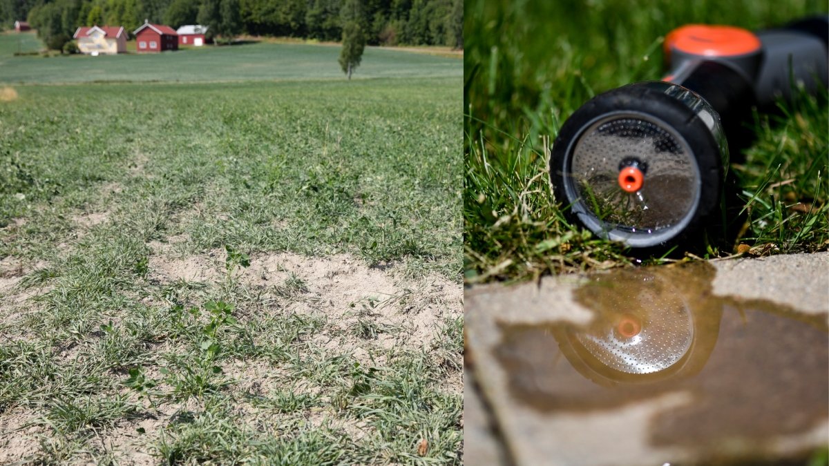 Varnar för vattenbrist – ovanligt låga nivåer