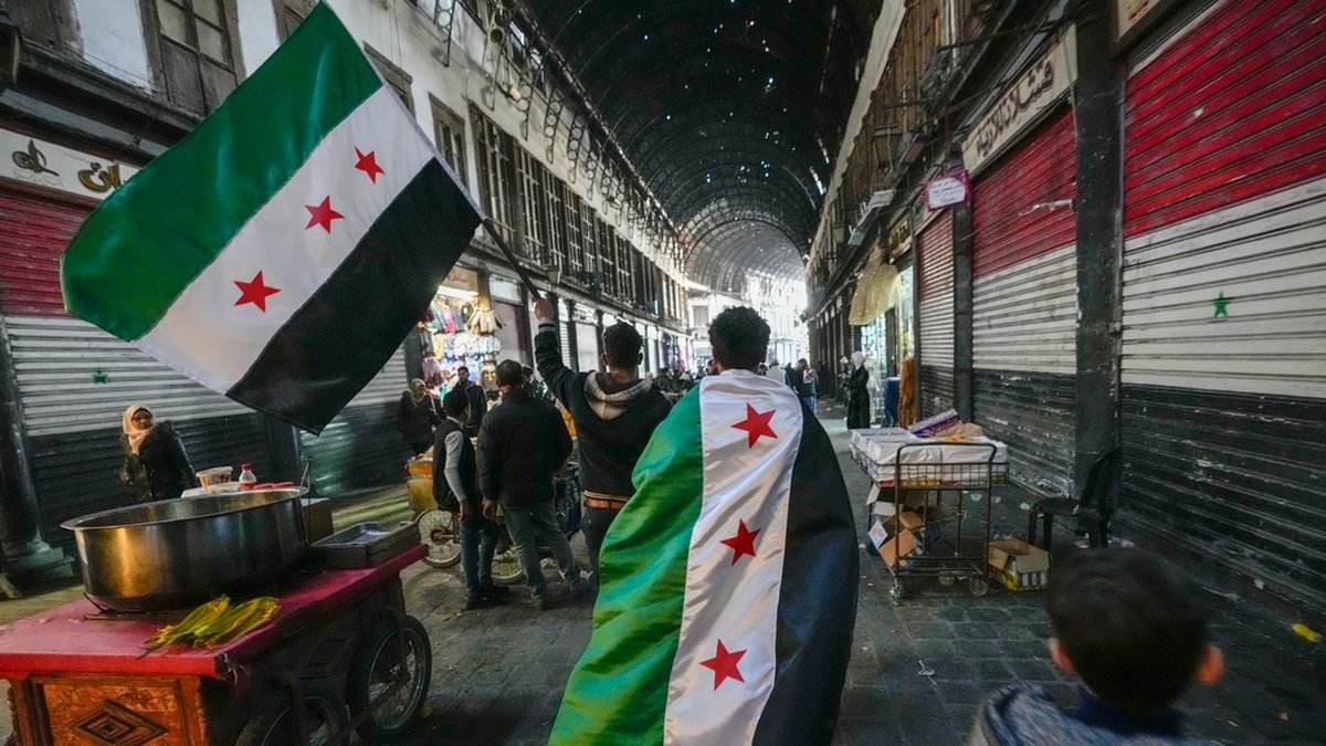 Efter regimen: Hopp och vånda för syrier i EU