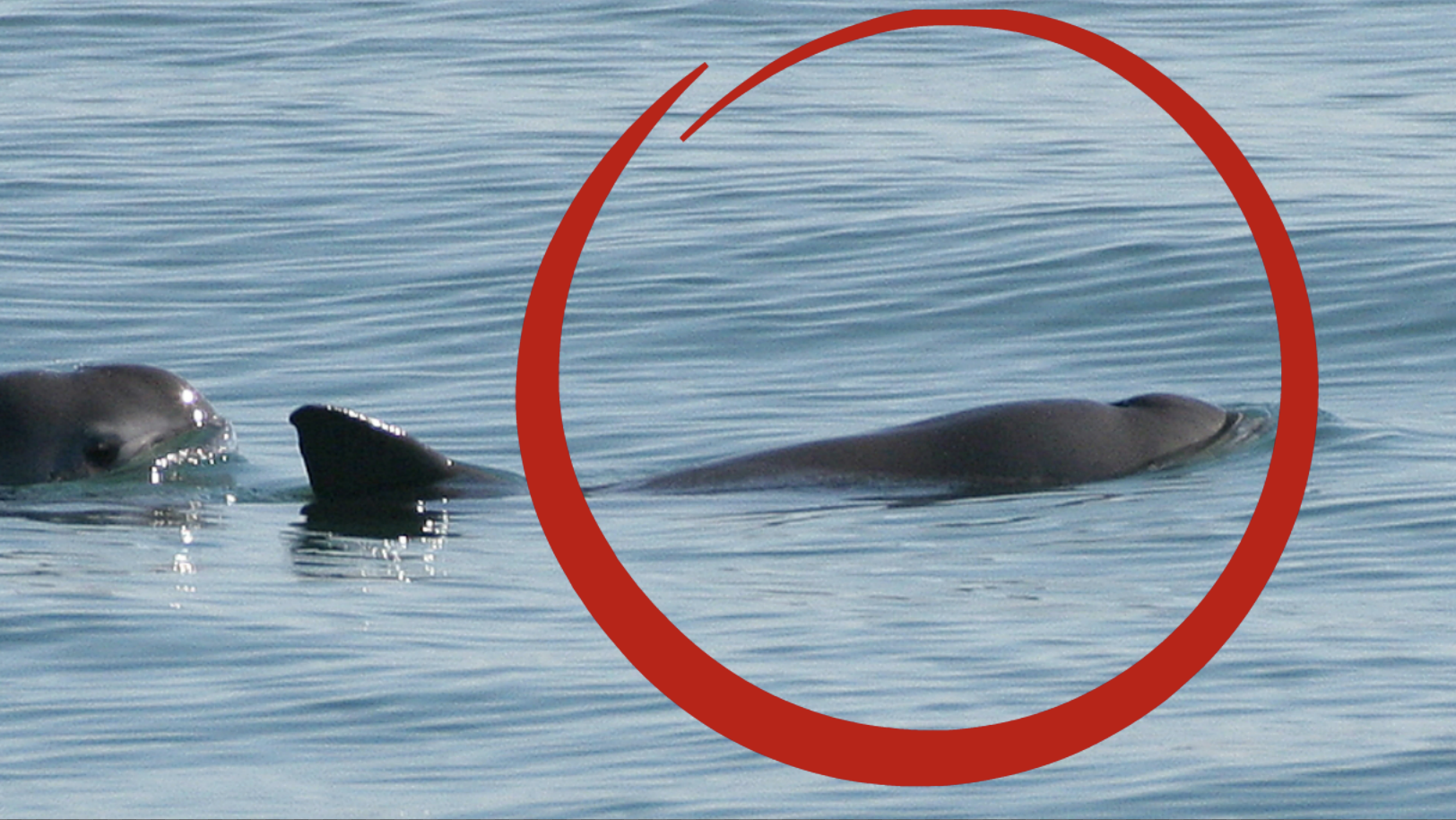 Val - Nyheter, artiklar, reportage och video - Nyheter24