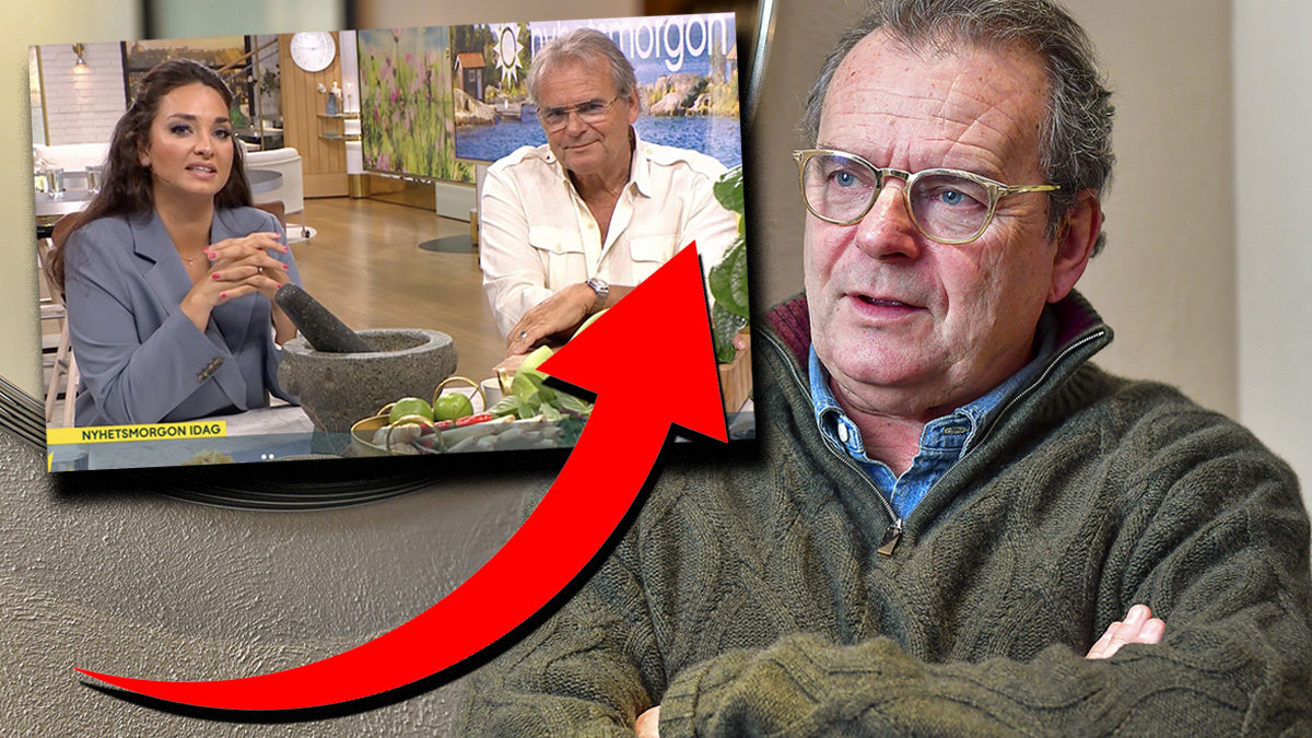 Steffo Törnquist ber om ursäkt för beteendet i Nyhetsmorgon