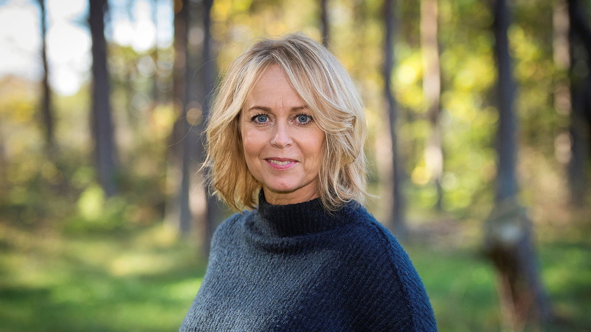 De spelar på Vallarna i sommar