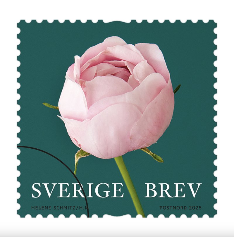 Här är Postnords nya frimärken – efter prishöjningen