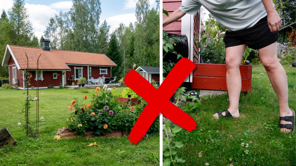 Nya regler för tomtägare som bor här – från 1 september