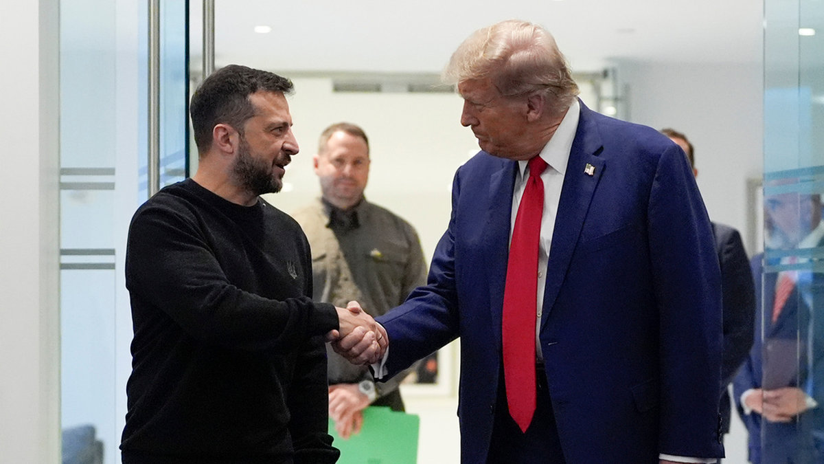 Trumps fredsplan för Ukraina: Inget Nato på 20 år