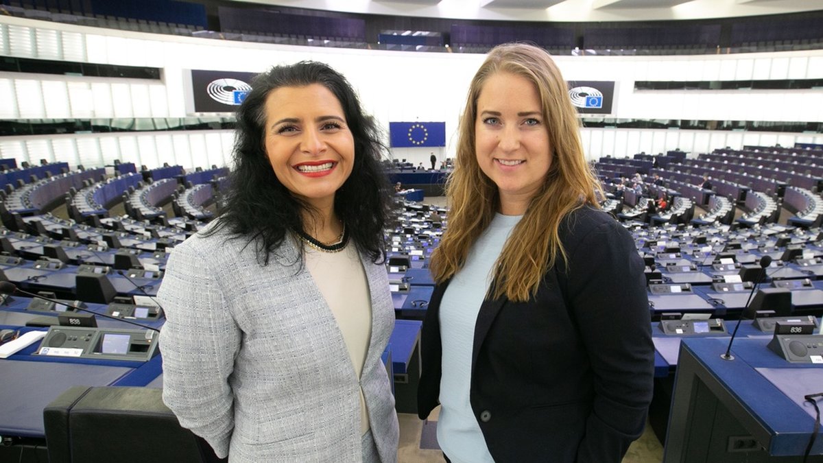 De är Centerns toppförslag till EU-valet