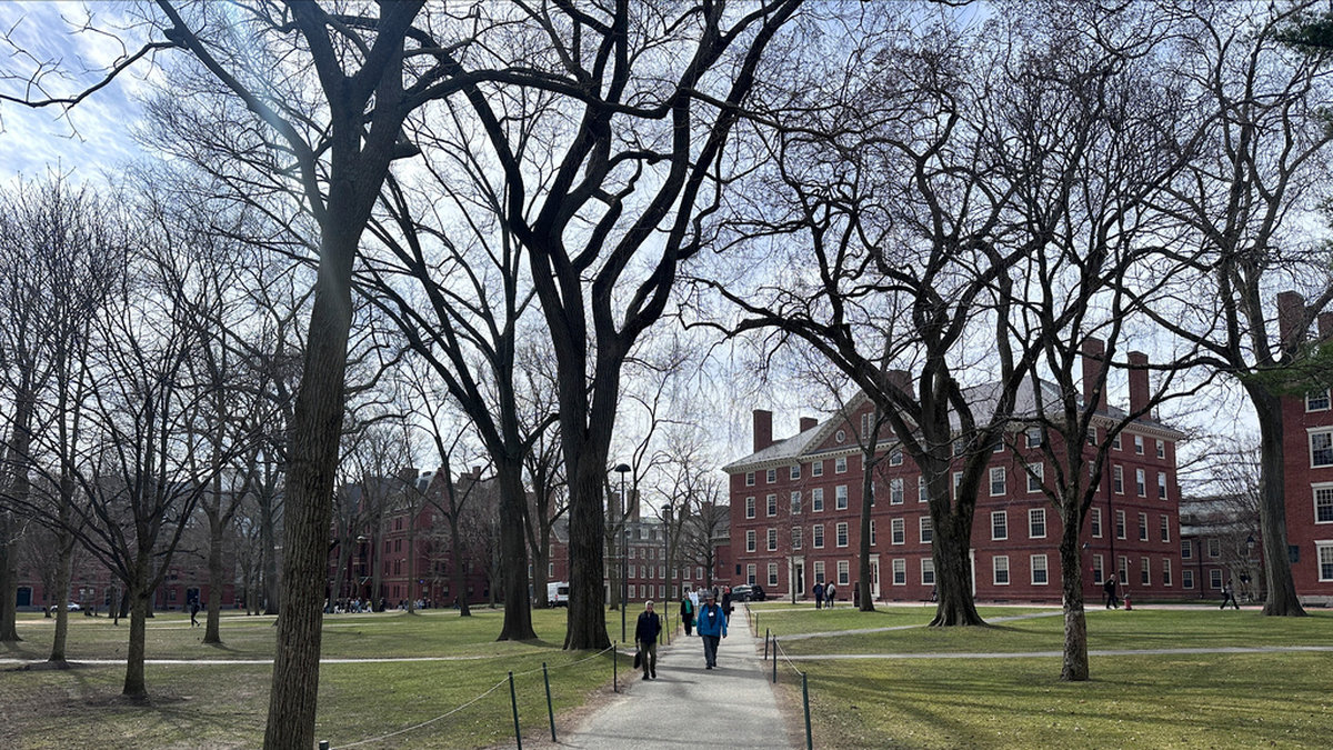 Domare stoppar Trumps nya hot mot Harvard