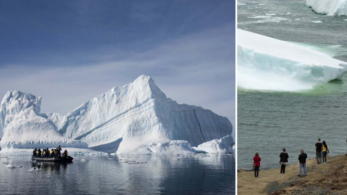 Turister strandade – på ett flytande isberg