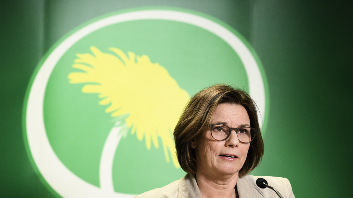 Lövins kritik mot regeringen: "Vilseledande"