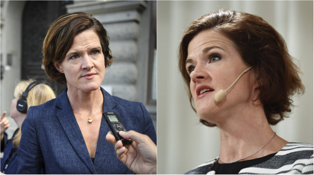 Flera avgångskrav mot Anna Kinberg Batra