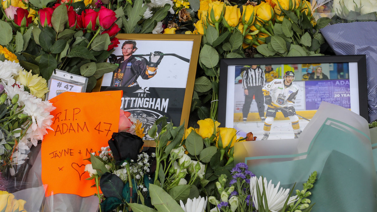 Adam Johnson dog på isen – norska hockeyförbundet kräver regeländring