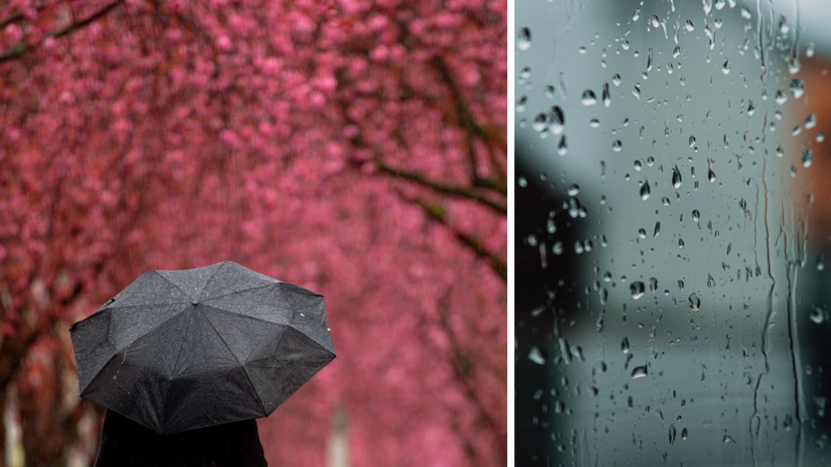 Väderomslaget: Nu väntas vind, kyla – och flera centimeter regn