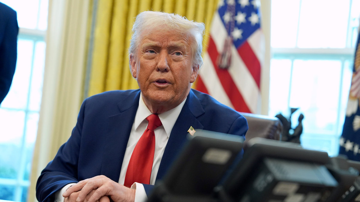 Därför älskar Donald Trump tullar