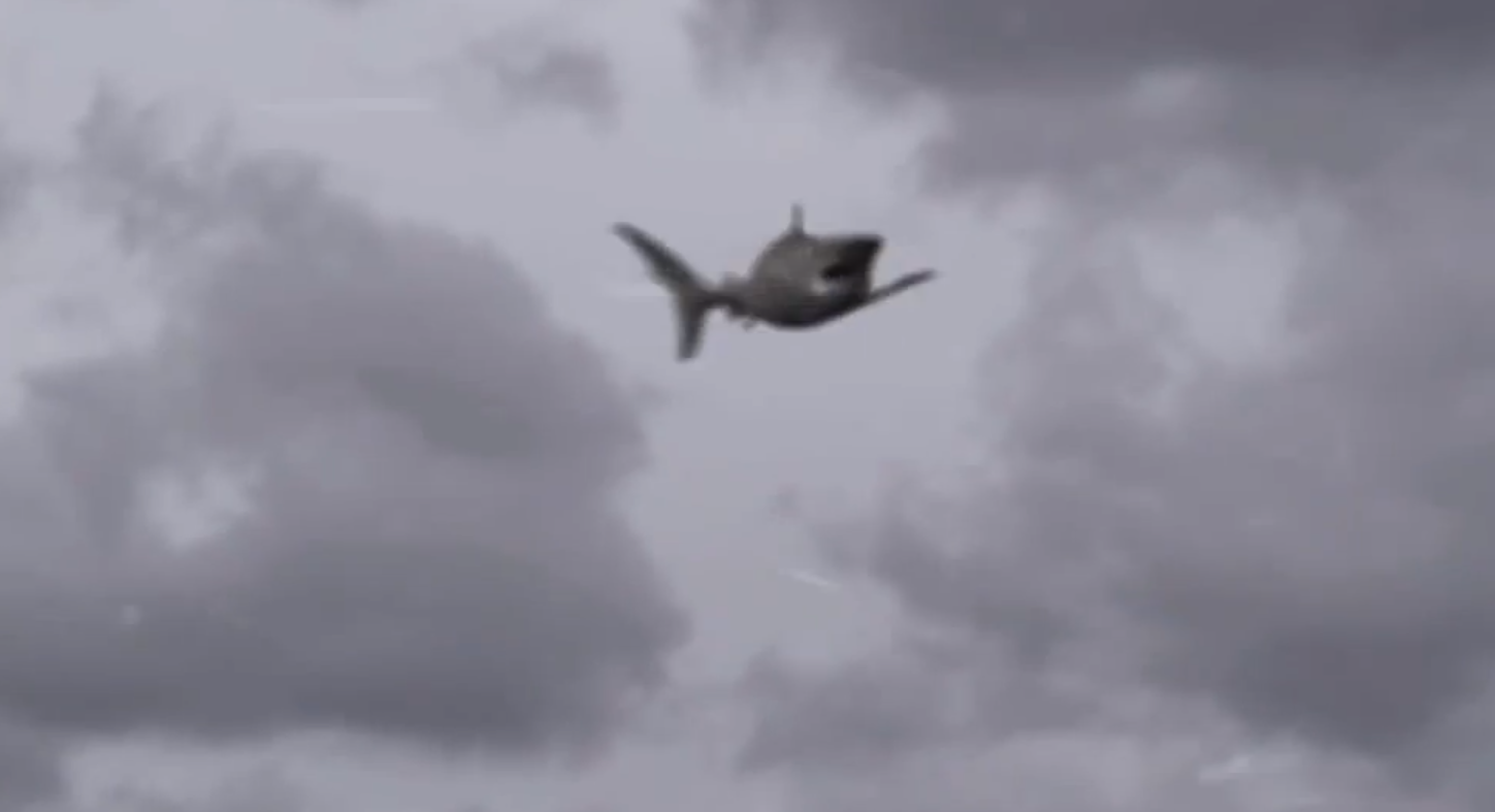 "Sharknado" kan hända på riktigt – nästan