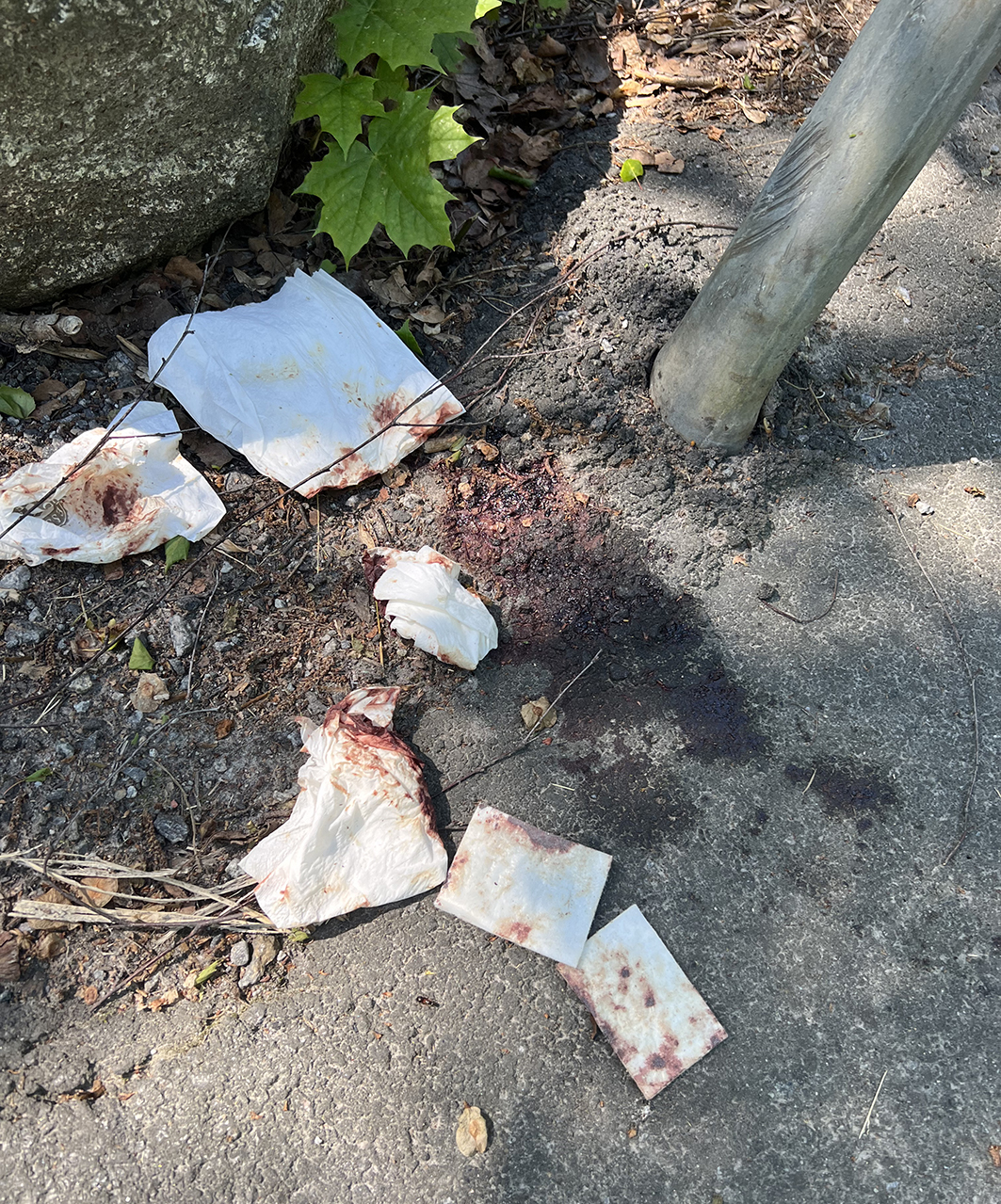 Kändisvännen Anna Shimoda hittades i blodpöl 50 meter från hemmet