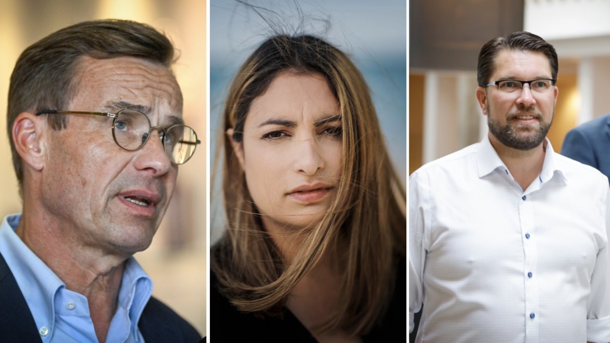 Valet 2022: Så ställer sig partierna i frågan om invandring