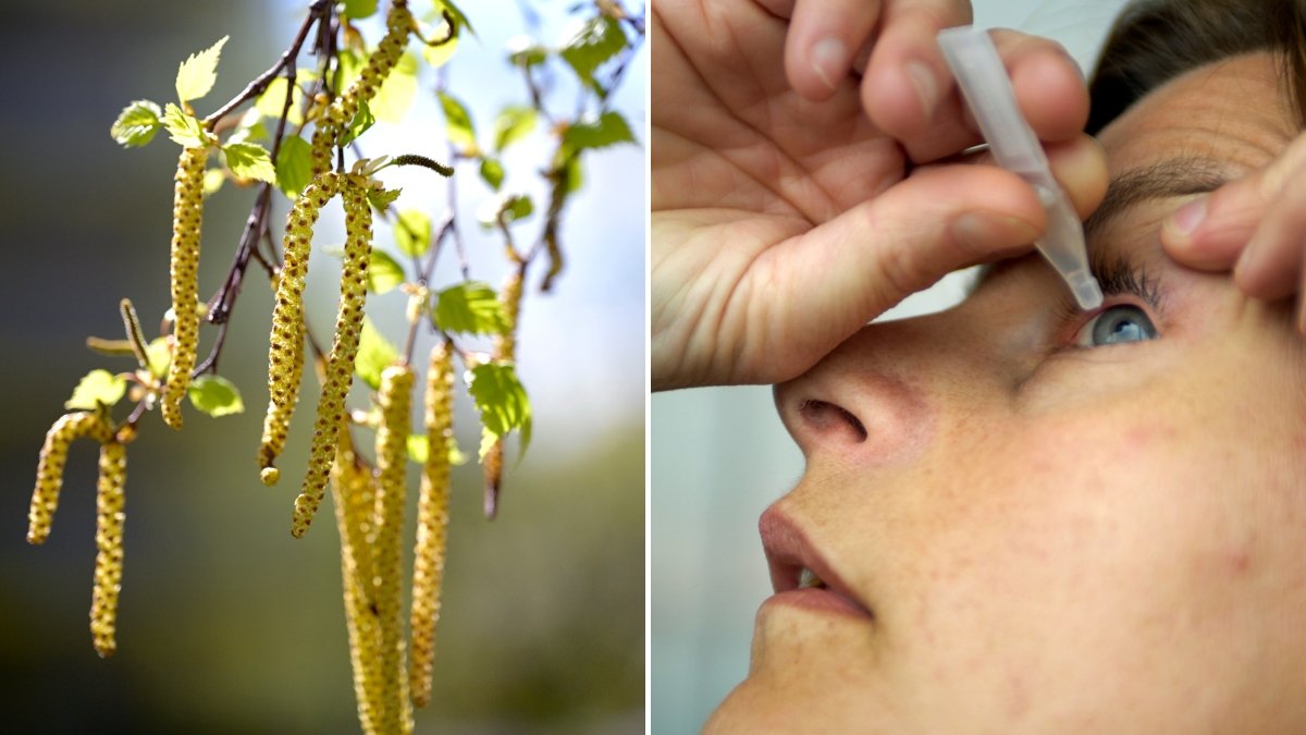 Därför blir du trött av dina allergitabletter – enligt experten