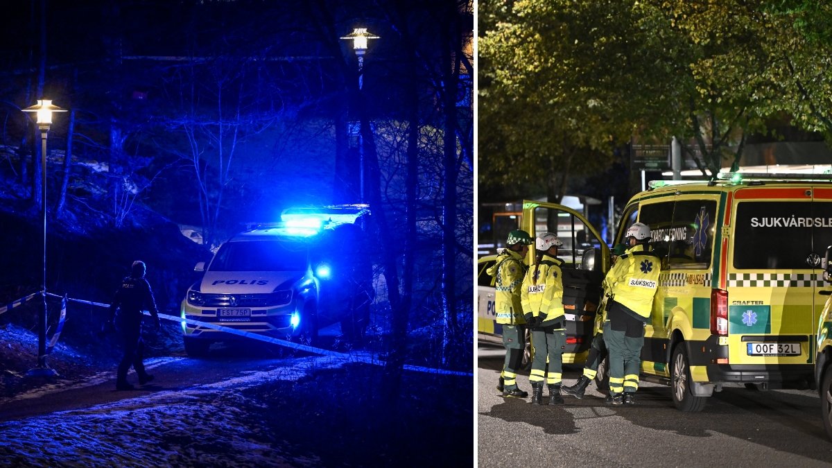 Två män i 20-årsåldern allvarligt skottskadade