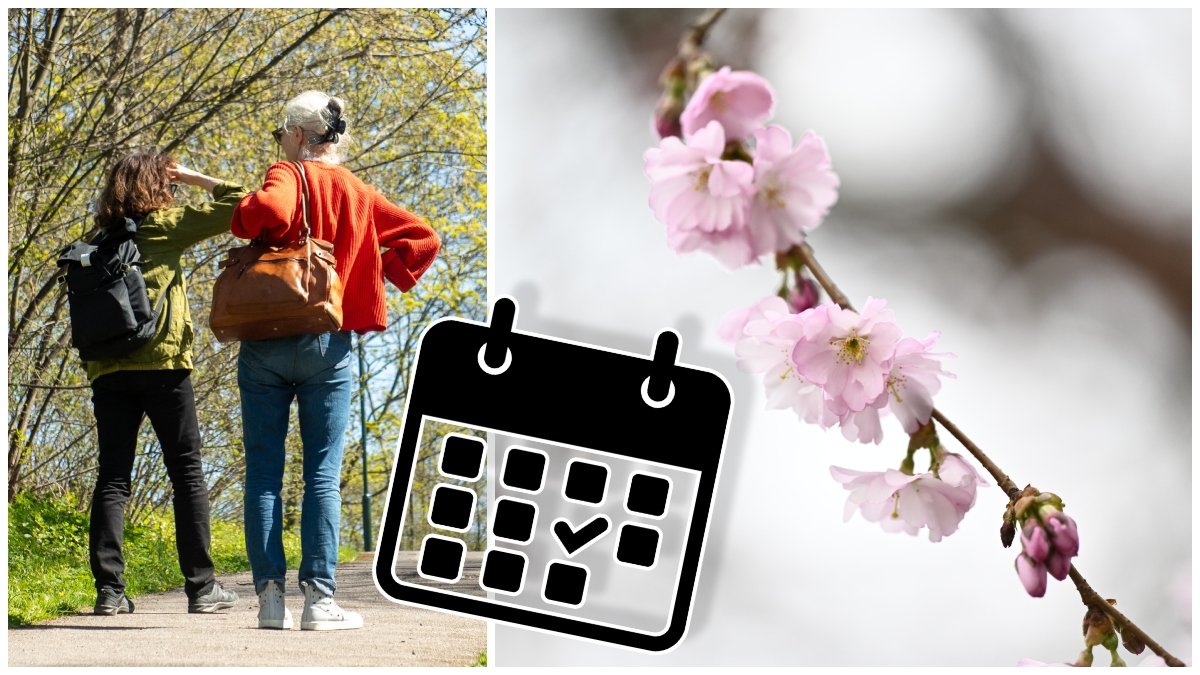 Kristi himmelsfärdsdag 2025 – en röd dag? Så är du ledig