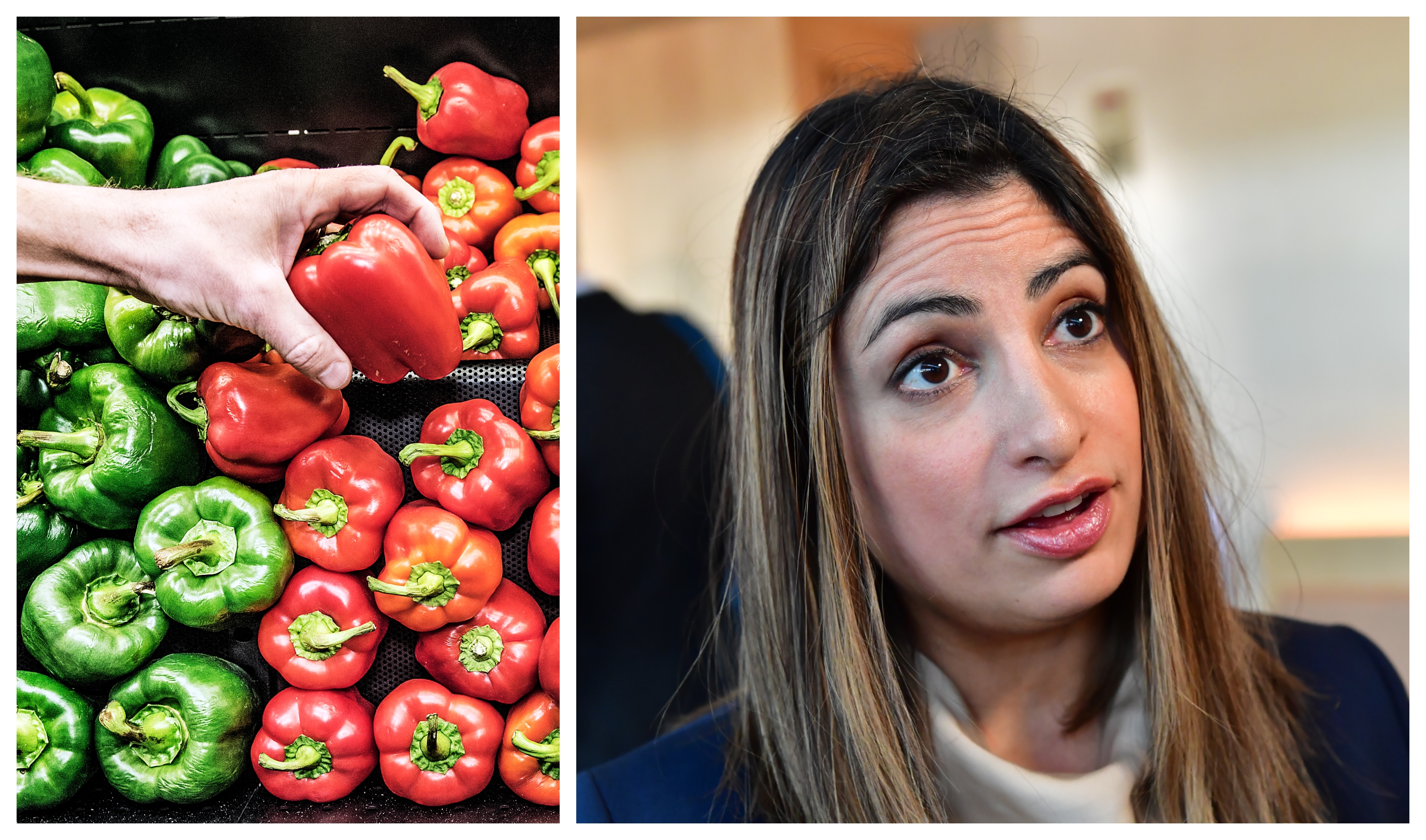 Nooshi Dadgostar om fördomen: "En felaktighet"