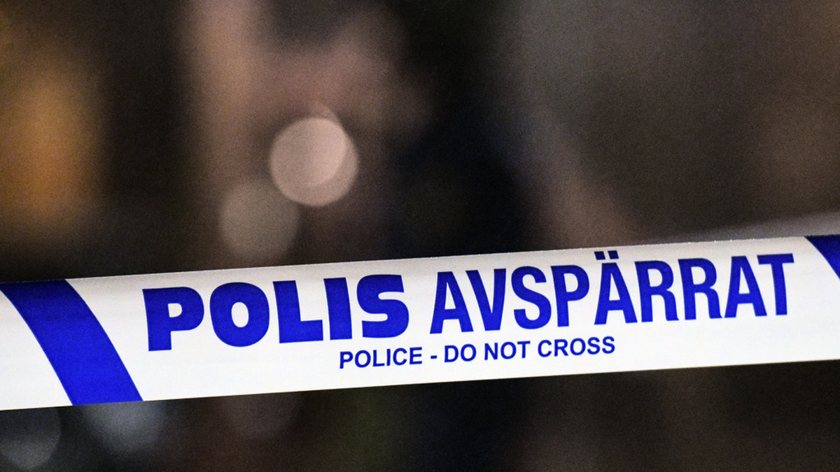 Mord under hundpromenad – gängledare åtalas