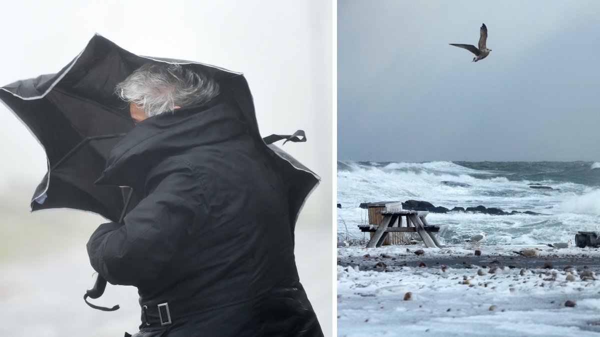 Så blir vädret i helgen – SMHI varnar för kraftiga vindar