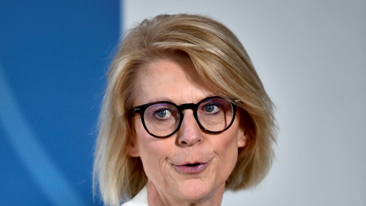 Utförsel av stöldgods kan kriminaliseras